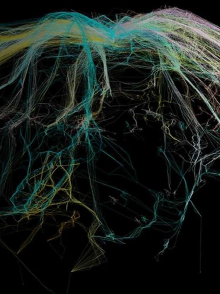 The Hidden Beauty of Data: Alumni Q&A with Data Artist Dr Kirell Benzi