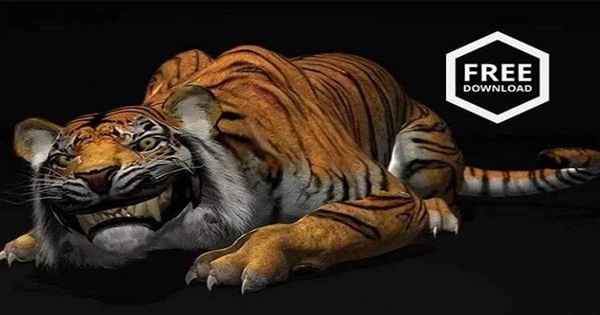 Free Tiger Skeletal Animation Rig